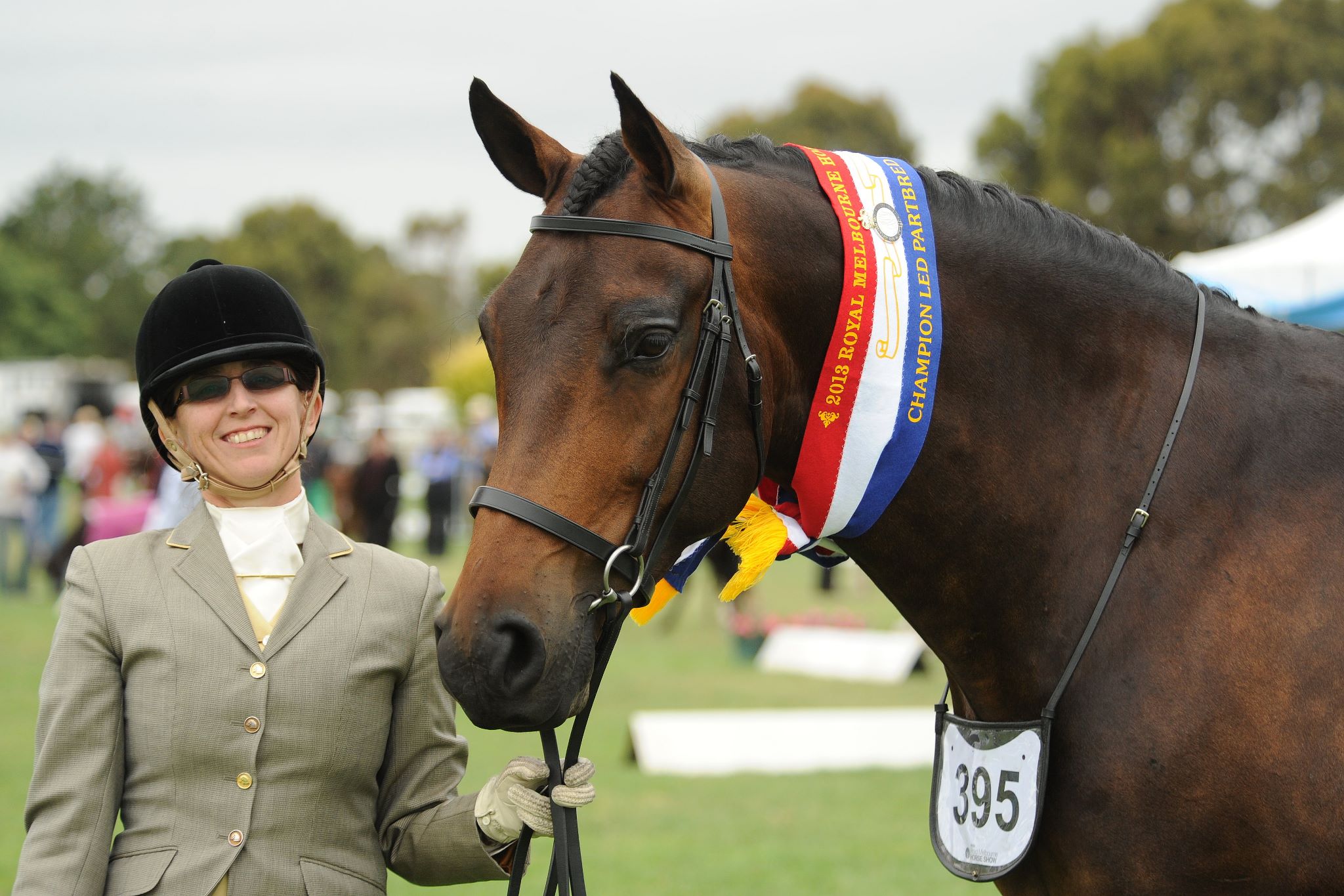 Vineyard Performance Team – Horse Show Preparation