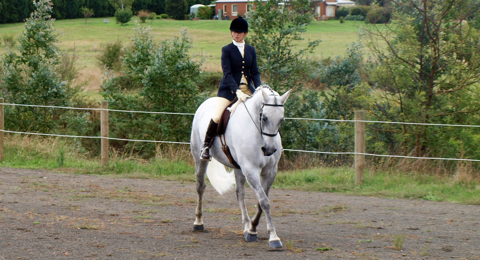 Vineyard Performance Team – Horse Show Preparation