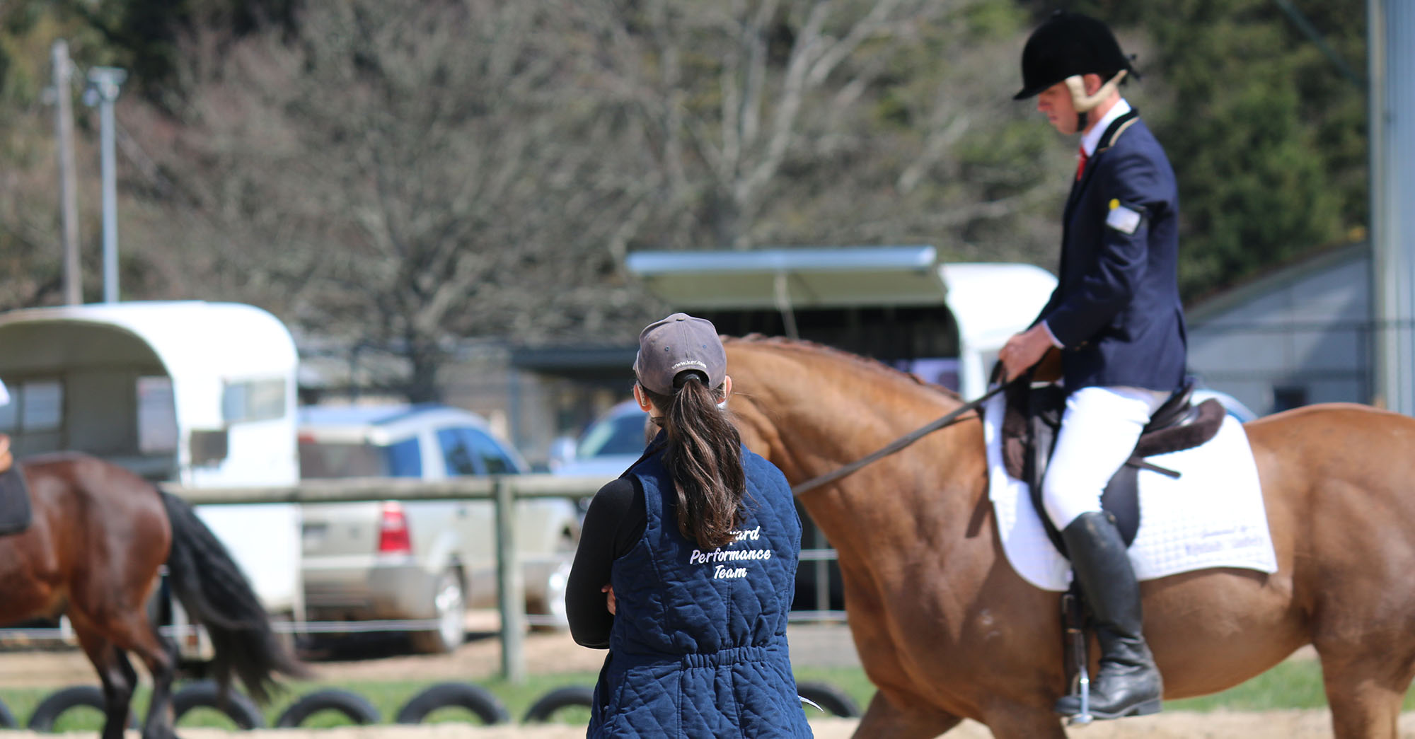 Vineyard Performance Team – Horse Show Preparation